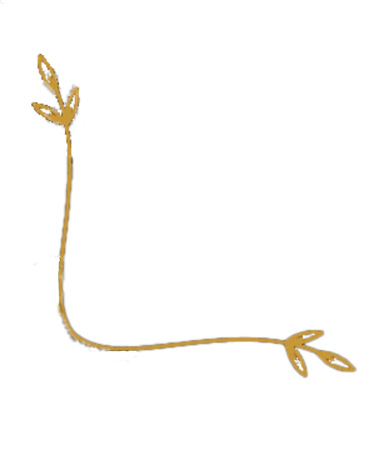 Sereno Barn | A True place of magic , Here, where the nature gently ...