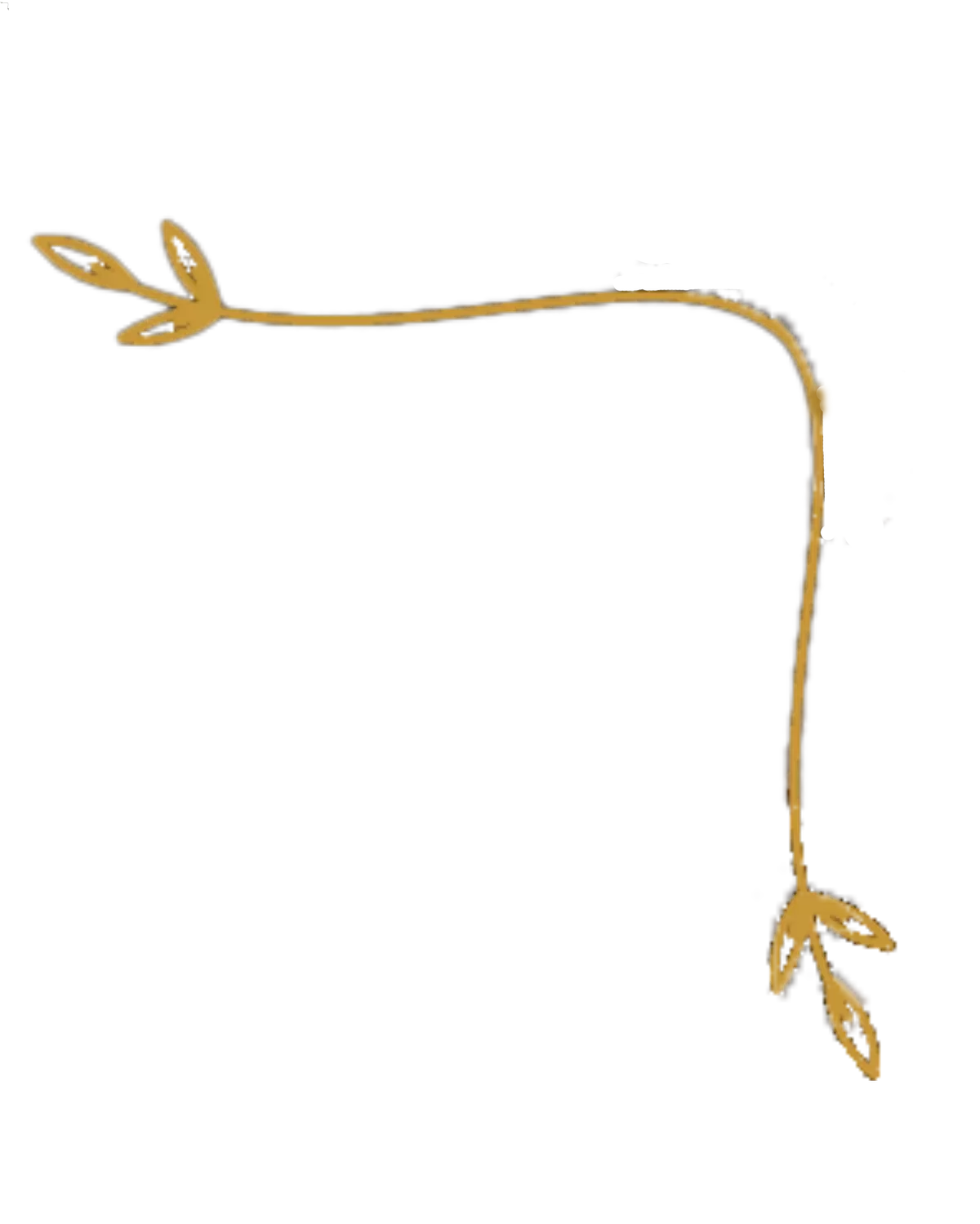 Sereno Barn | A True place of magic , Here, where the nature gently ...